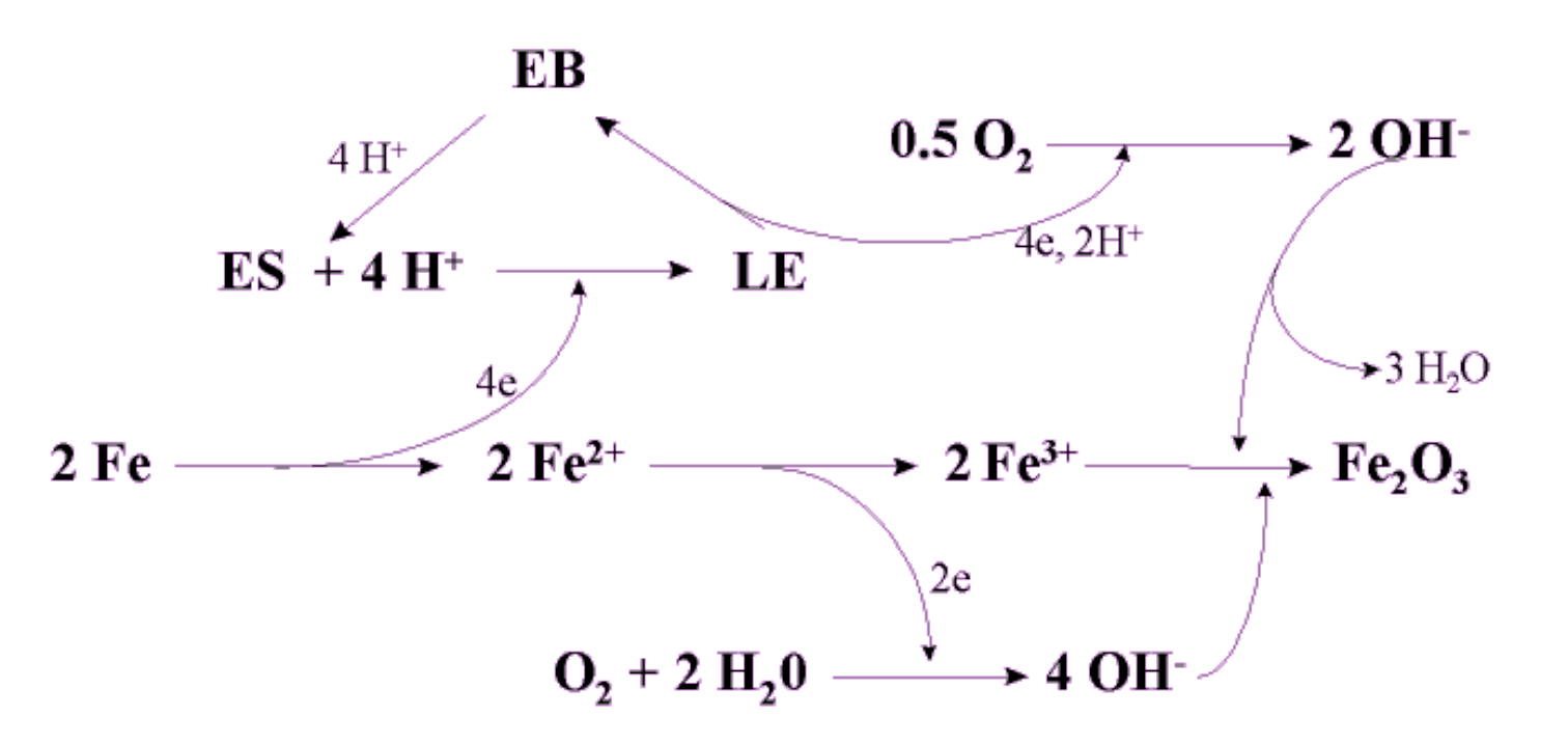 passivation-introduction - Bernhard Wessling